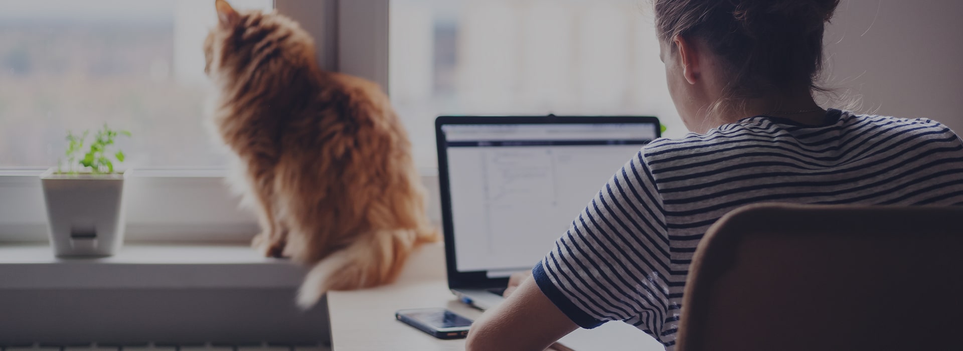Neue Arbeitsmodelle und Digitale Zeiterfassung - New Work